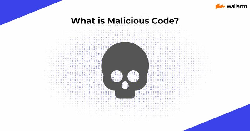 What is Malicious Code? Definition, Types ⚠️